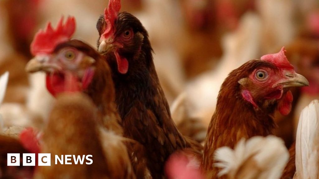 Longden chicken farm set to double capacity