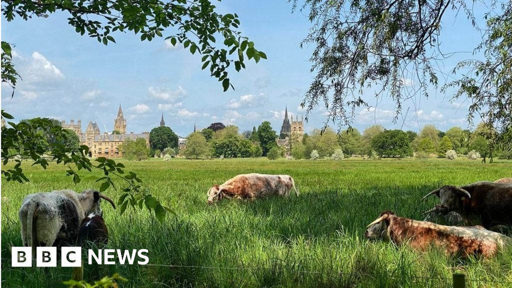 England's Big Picture: 15 May - 21 May 2023 - BBC News