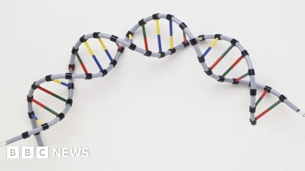 Altering the DNA of humans - should we allow gene editing? - BBC News