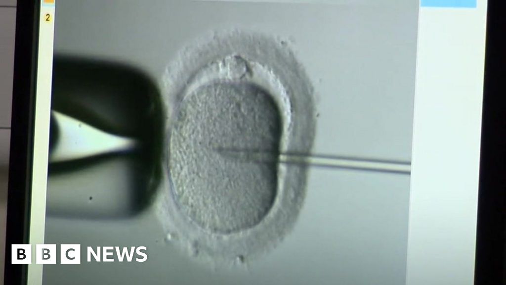 Call to do more to protect IVF patients