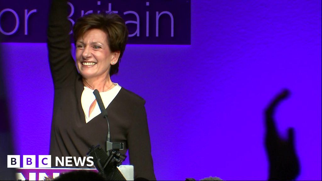 UKIP's new leader resigns - BBC News