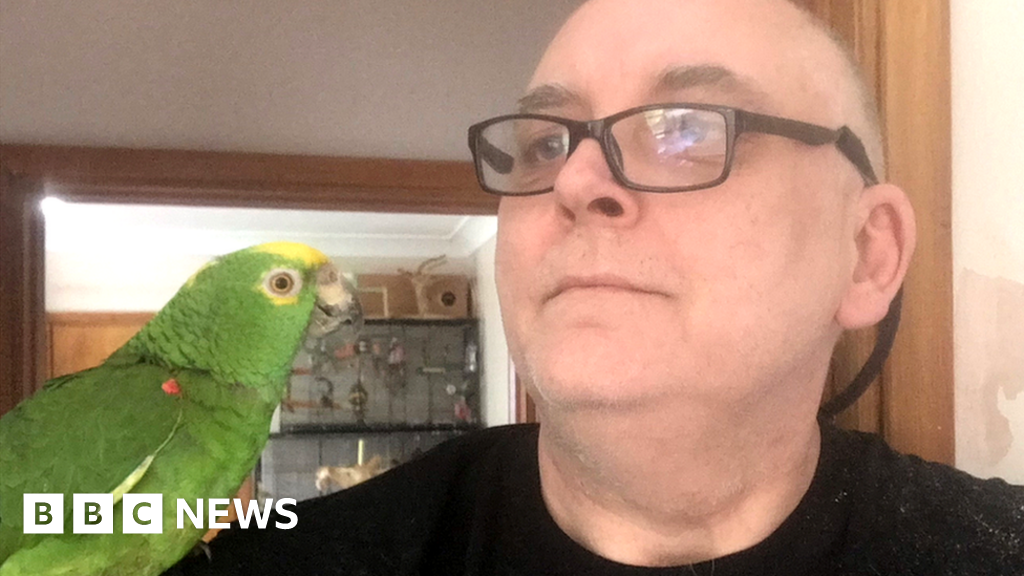Essex police search for screaming woman finds pet parrot - BBC News