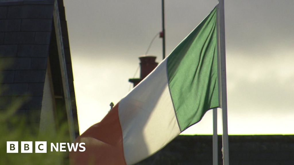 Calls for Stormont flags body to be suspended - BBC News