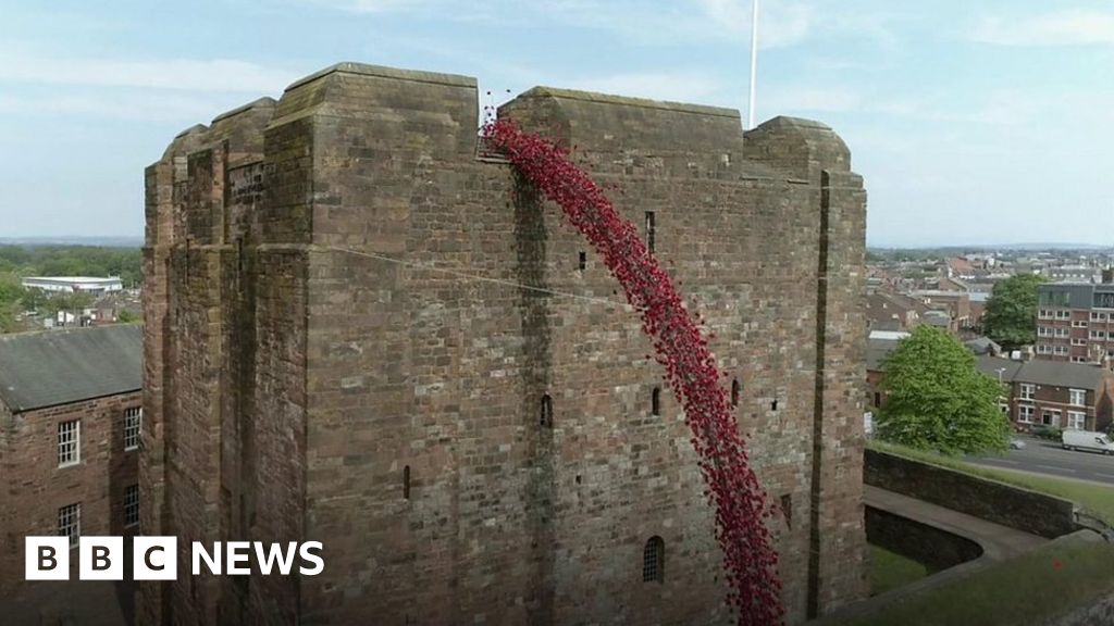 Carlisle Castle Weeping Window poppies attract thousands - BBC News