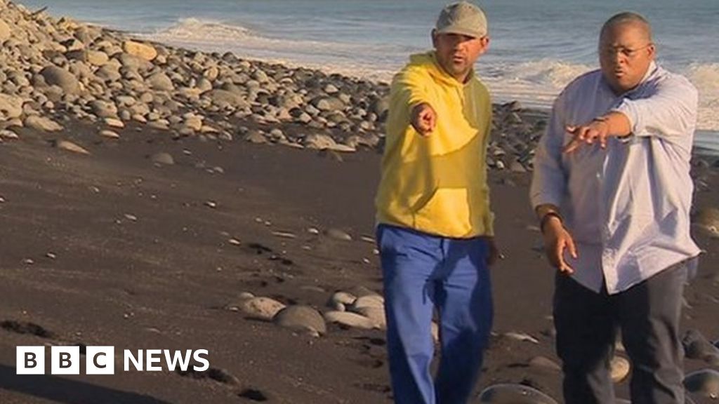 MH370 search: 'I found plane debris' - BBC News