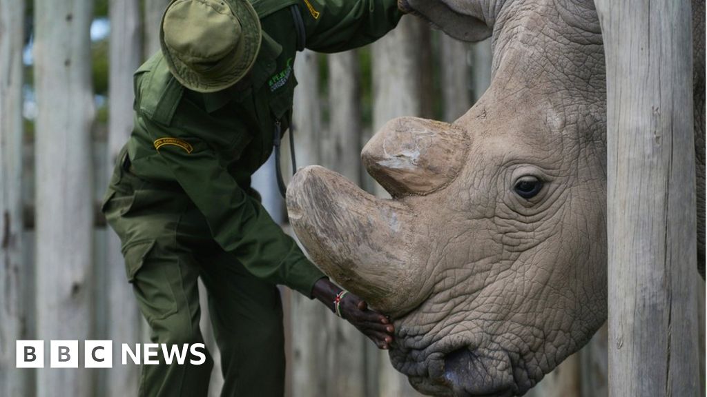 Nature crisis: New global extinction target proposed