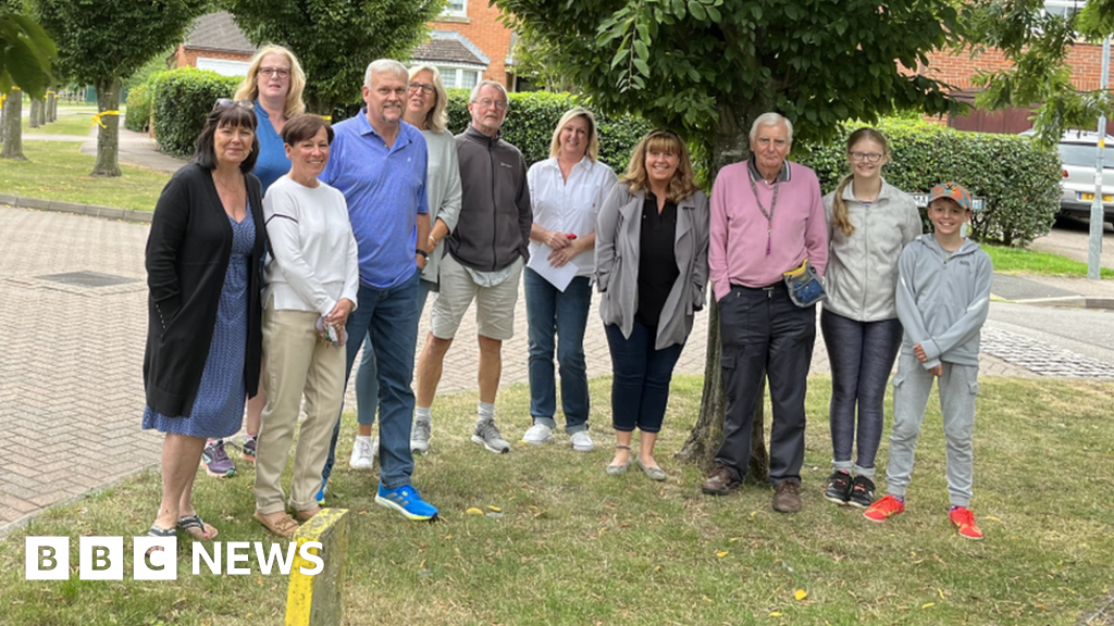 Death sentence for trees in Crick near Daventry is lifted - BBC News