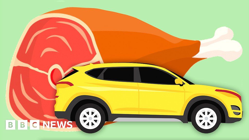 What is the Climate Assembly and how does it work?