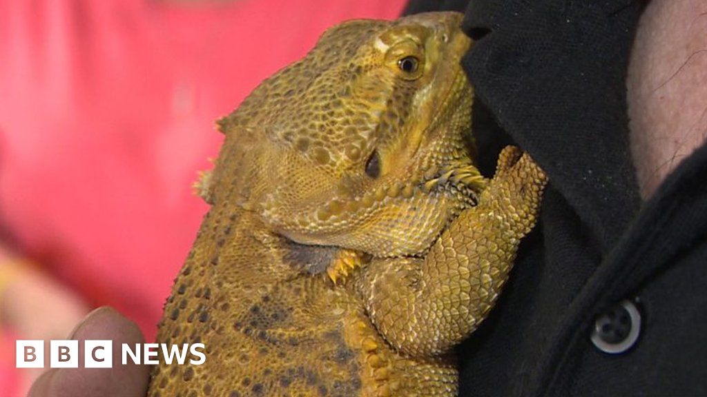 Animal therapy trial for Liverpool neurology centre patients