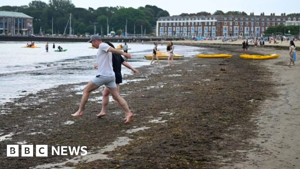 Weymouth beach seaweed to be 'helped' back to the sea - BBC News