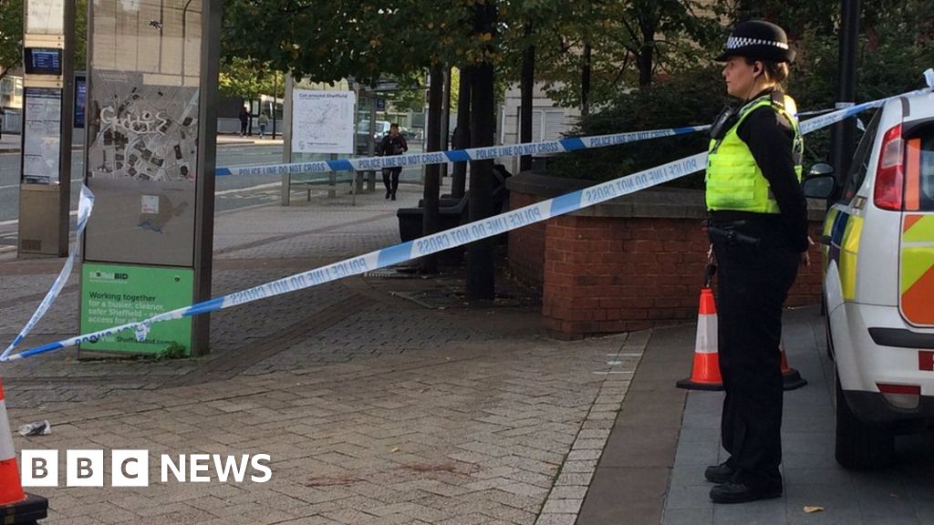 Sheffield bus driver stabbing: Teenager appears in court - BBC News