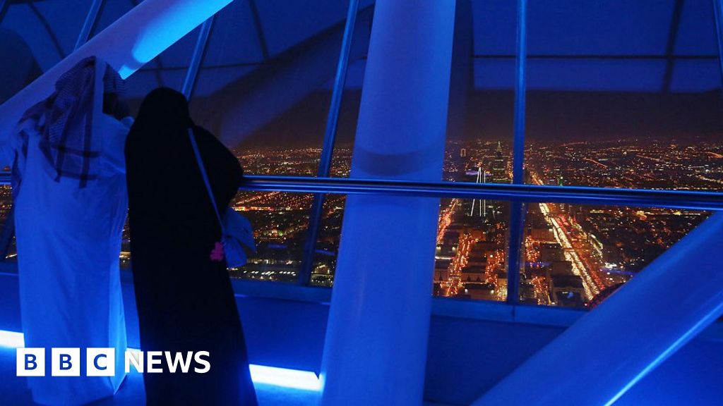 Flying without a man: The mysterious case of Dina Ali - BBC News