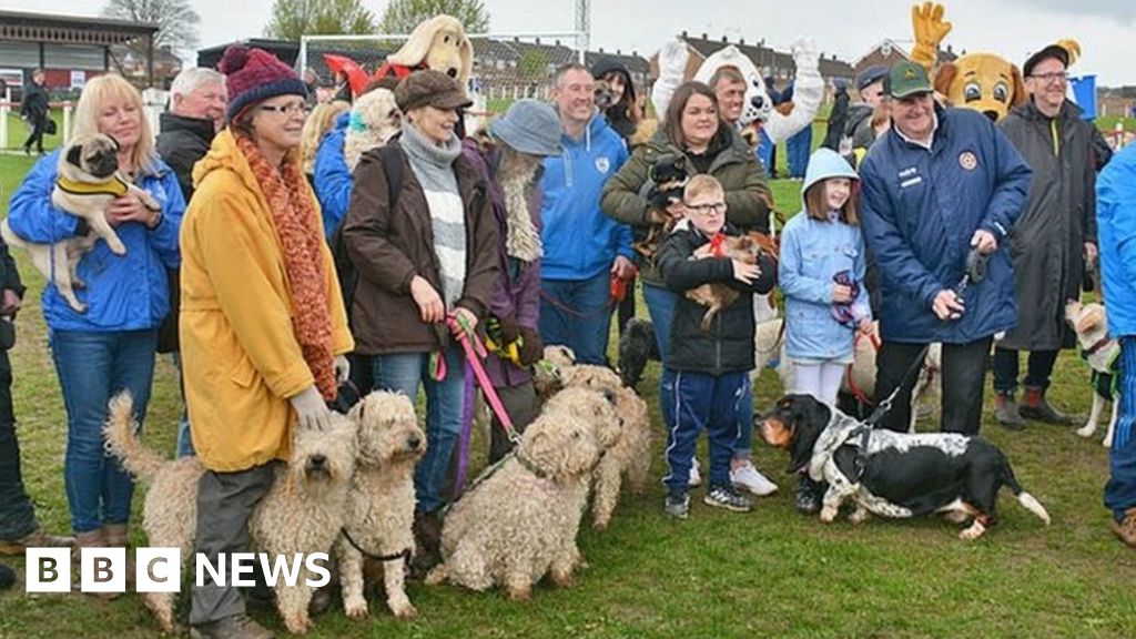 Maltby Main FC claims world record in dog charity event - BBC News