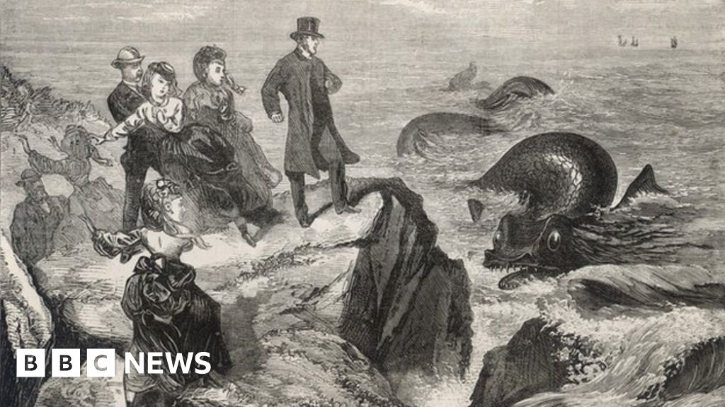 Picture of Irish sea monster surfaces in London image archive - BBC News