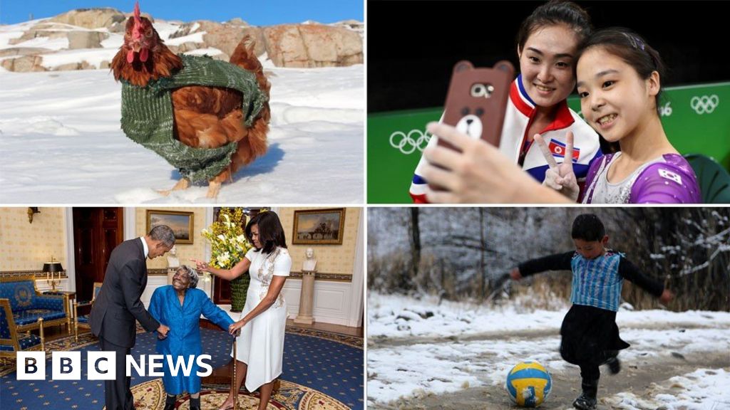 The stories that prove 2016 was not the Worst Year Ever - BBC News