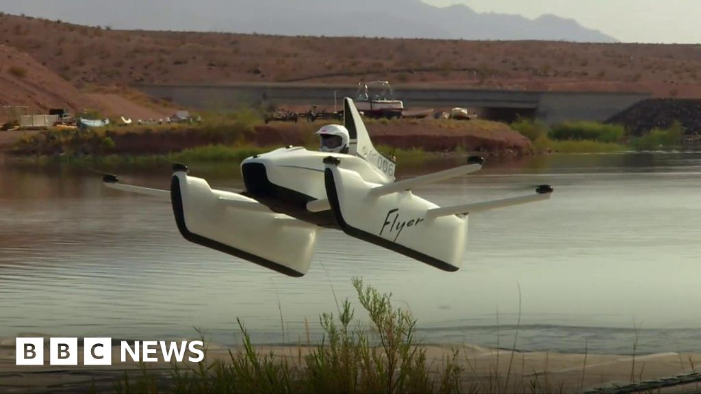 A flying car and a swimming bear