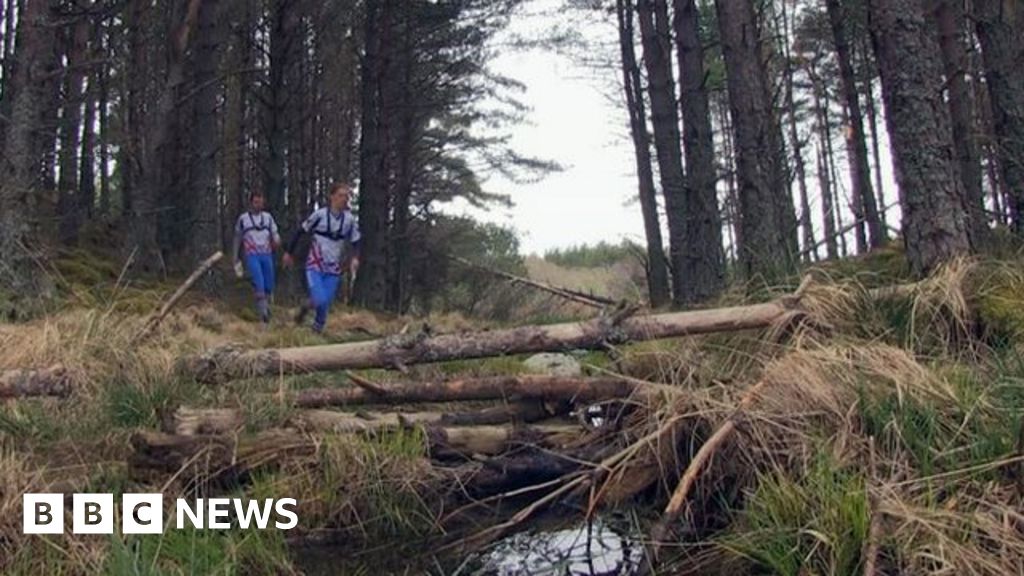 World orienteering champs gather in Highlands - BBC News