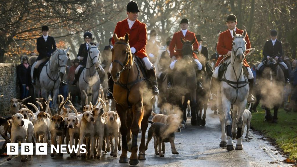 Lord Mancroft says only hunting groups care about foxes - BBC News