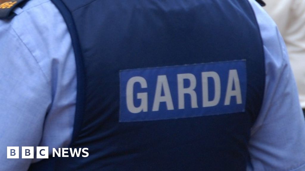 Patrick Lawlor: Dublin lands to be searched in missing man ...