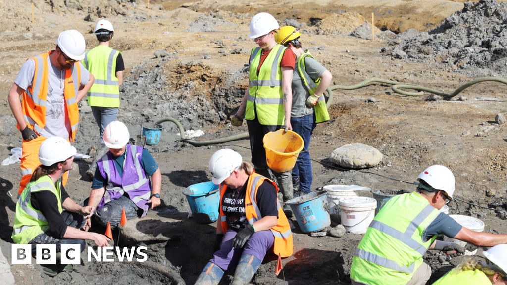 New dig to start in 2024 at mammoth graveyard near Swindon