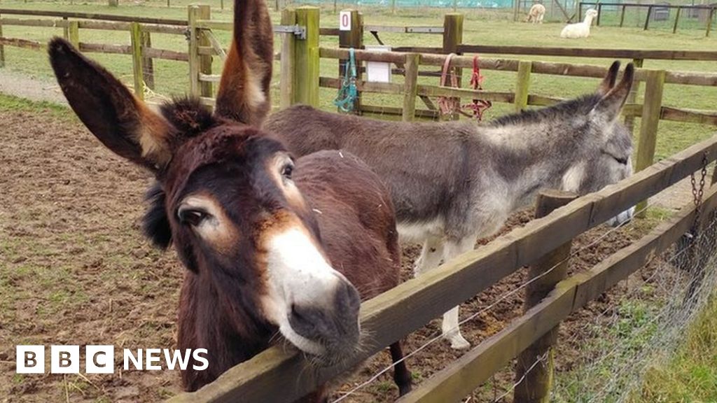 Milton Keynes Thrift Farm saved from closure