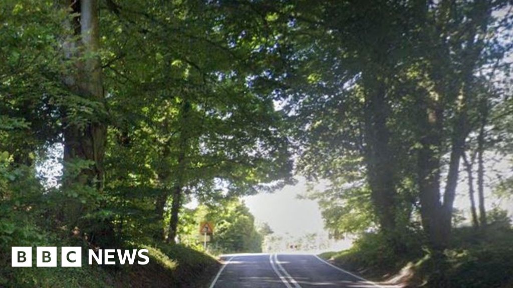 Motorcyclist killed in Langrish collision with lorry - BBC News