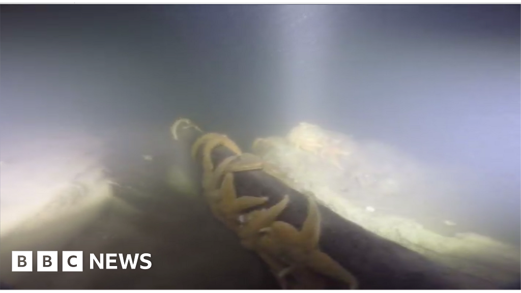 Rooswijk shipwreck explored on Goodwin Sands - BBC News