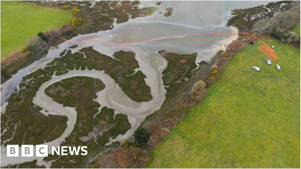 Poole Harbour oil spill: Shellfish sales warning issued - BBC News