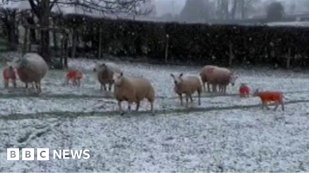 Weather: Snowy conditions across large parts of Wales - BBC News
