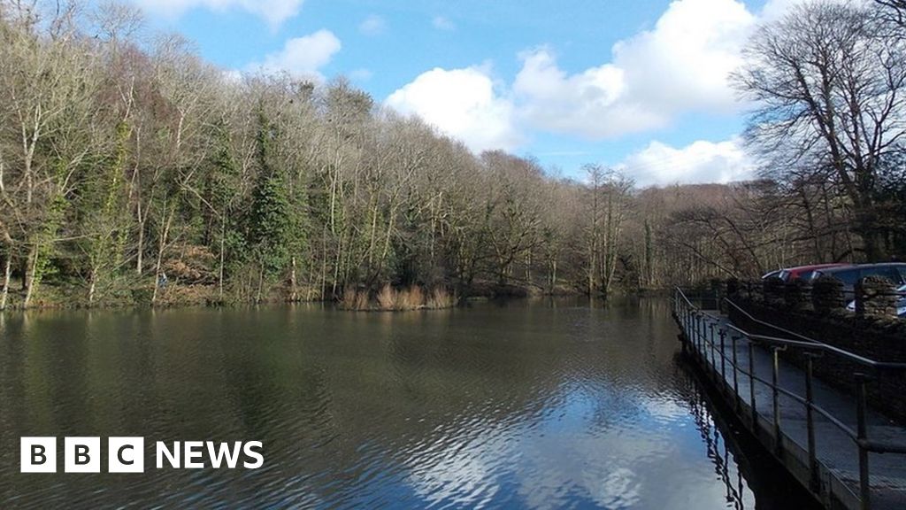 Gnoll country park in Neath gets £50k to boost visitor facilities - BBC ...