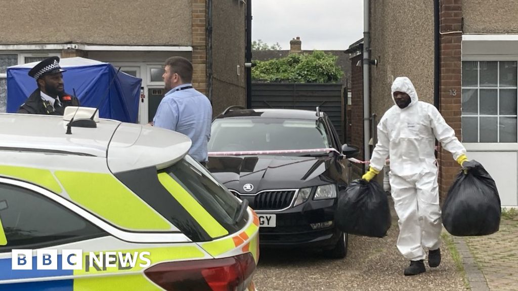 Hornchurch: Woman killed by registered XL bully dogs named - BBC News