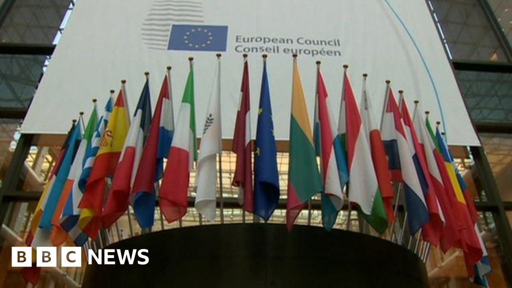 European referendum: Should the UK stay or go? - BBC News