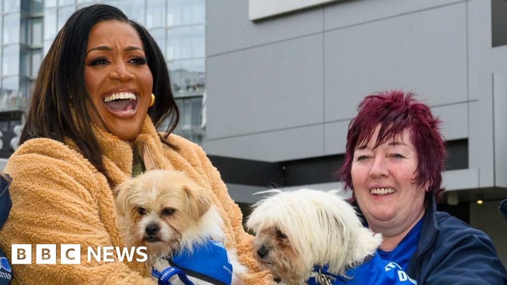 Alison Hammond to host ITV's For the Love of Dogs after Paul O'Grady's ...