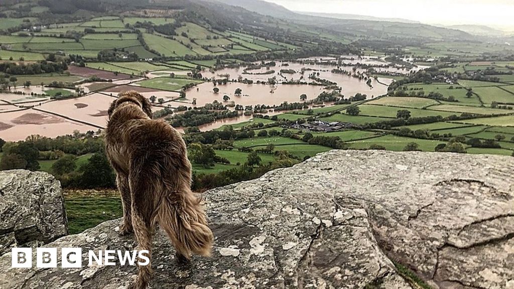 Storm Callum: 'Wear Marigolds and photograph flood damage'