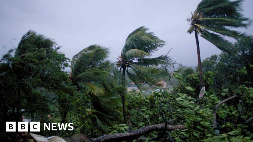 Hurricane Maria 'devastates' Dominica: PM - BBC News