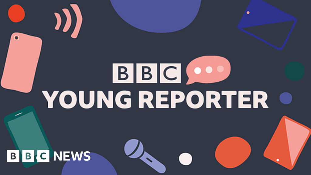 What is BBC Young Reporter? - BBC News