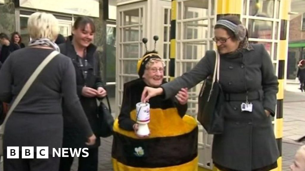 'Bee lady' receives freedom of Hull - BBC News