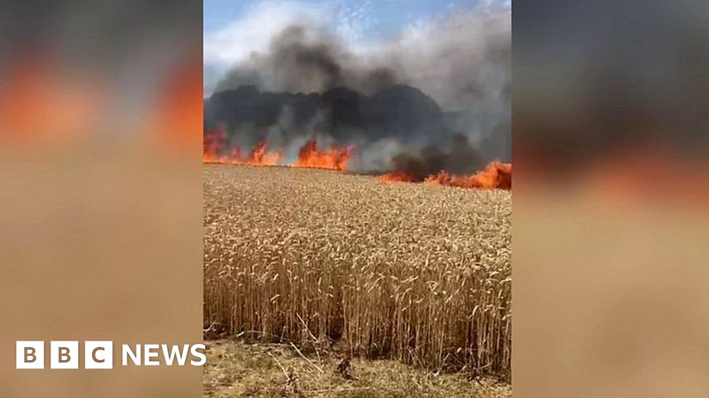 Burgate: Crews battle huge Suffolk field fire - BBC News