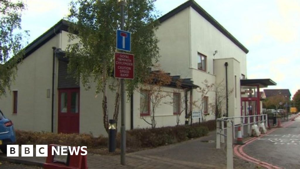 AMs call for assembly Tawel Fan inquiry - BBC News