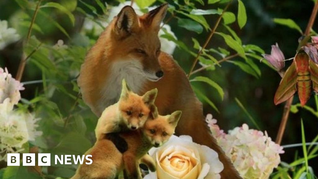 Coventry City of Culture: Mural plan to show 'hidden nature' - BBC News