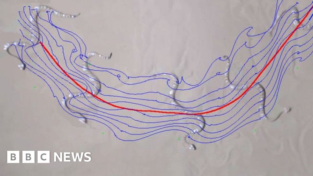 Studying how sidewinders turn - BBC News
