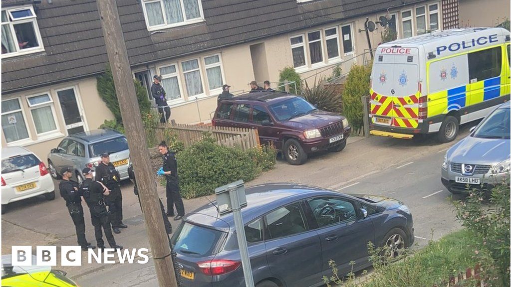 Crawley: Guns found during raid on house - BBC News