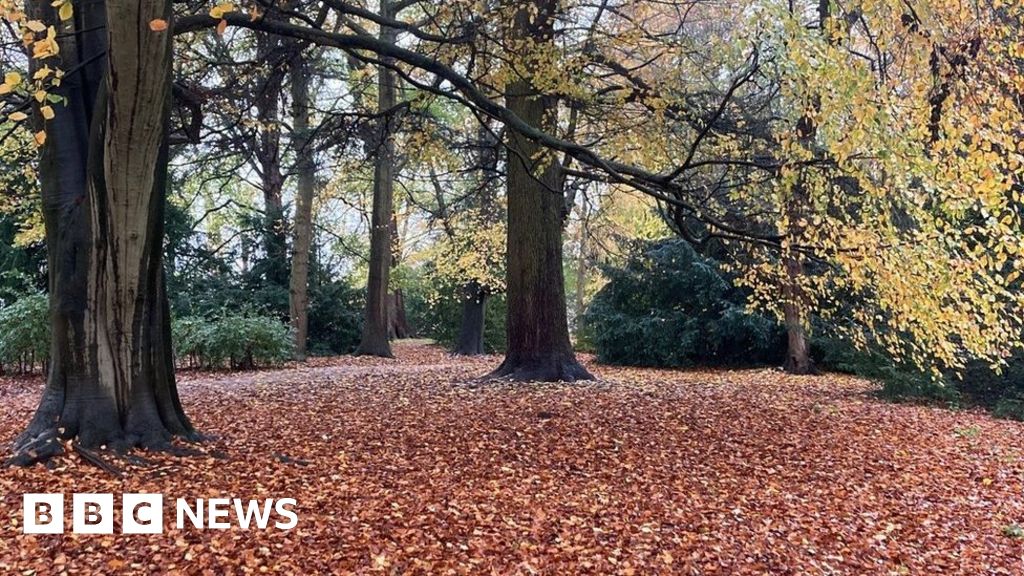 England's Big Picture: 14 November - 20 November 2022 - BBC News