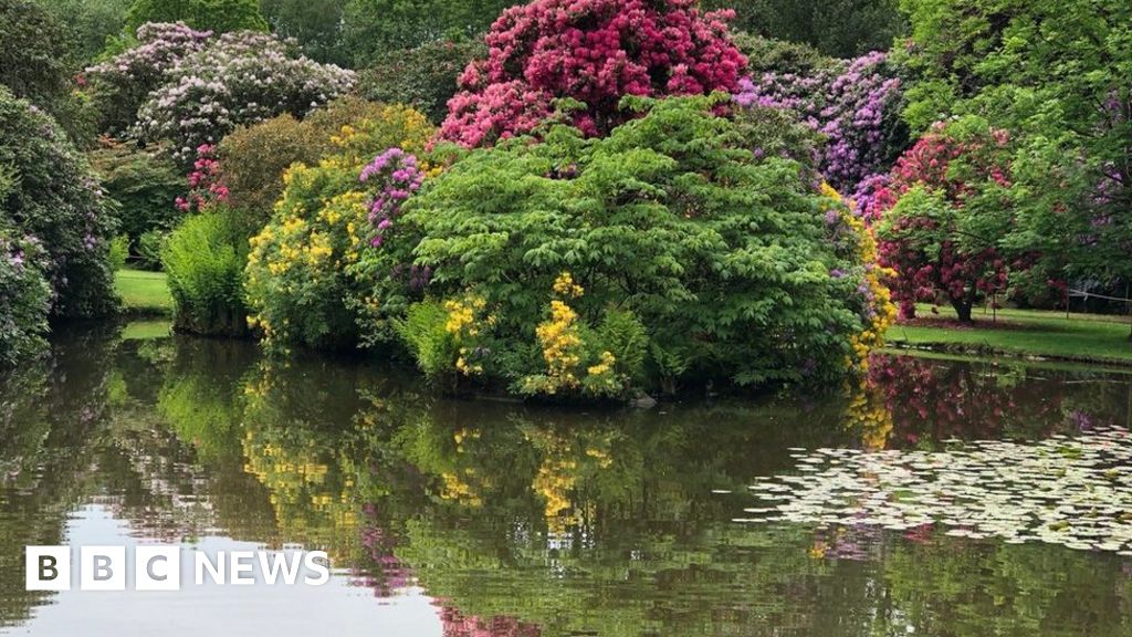 England's Big Picture: 7 June - 13 June