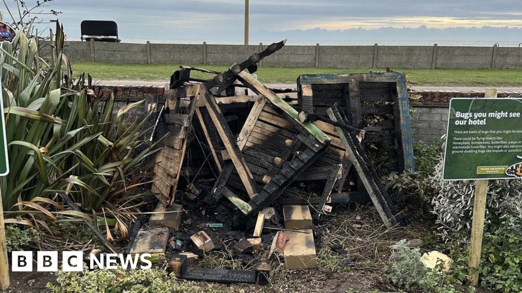 Buggingham Palace bug hotel fire in Great Yarmouth treated as arson