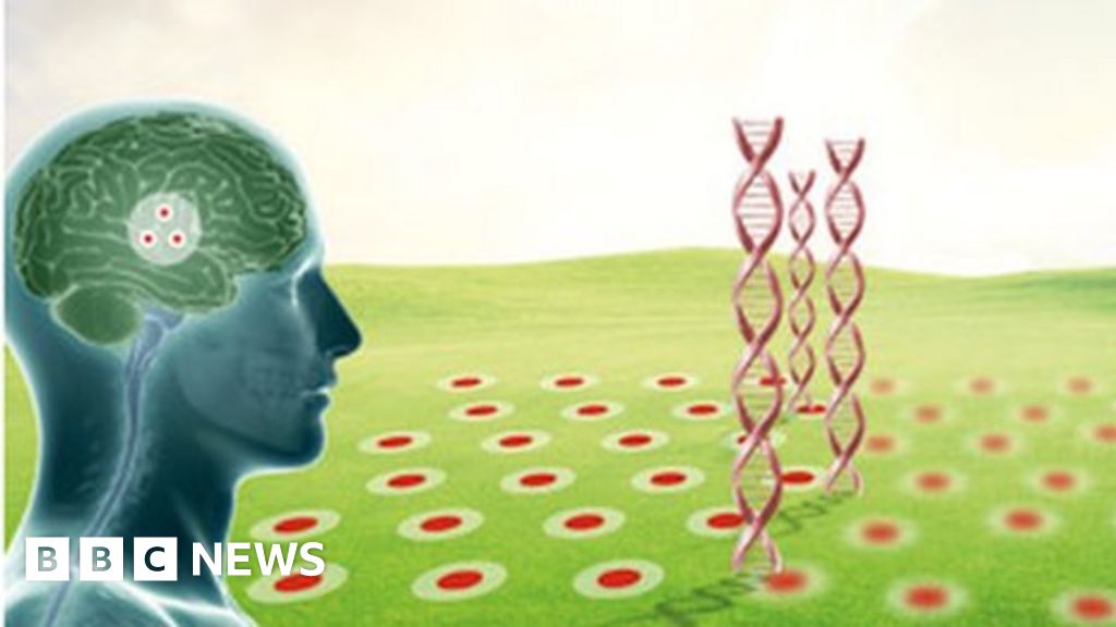 Virtual reality maze 'predicts Alzheimer's disease' - BBC News