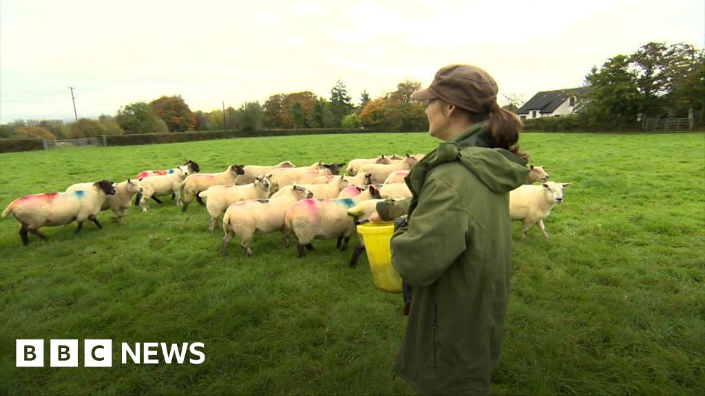 Life as a woman running the family farm - BBC News