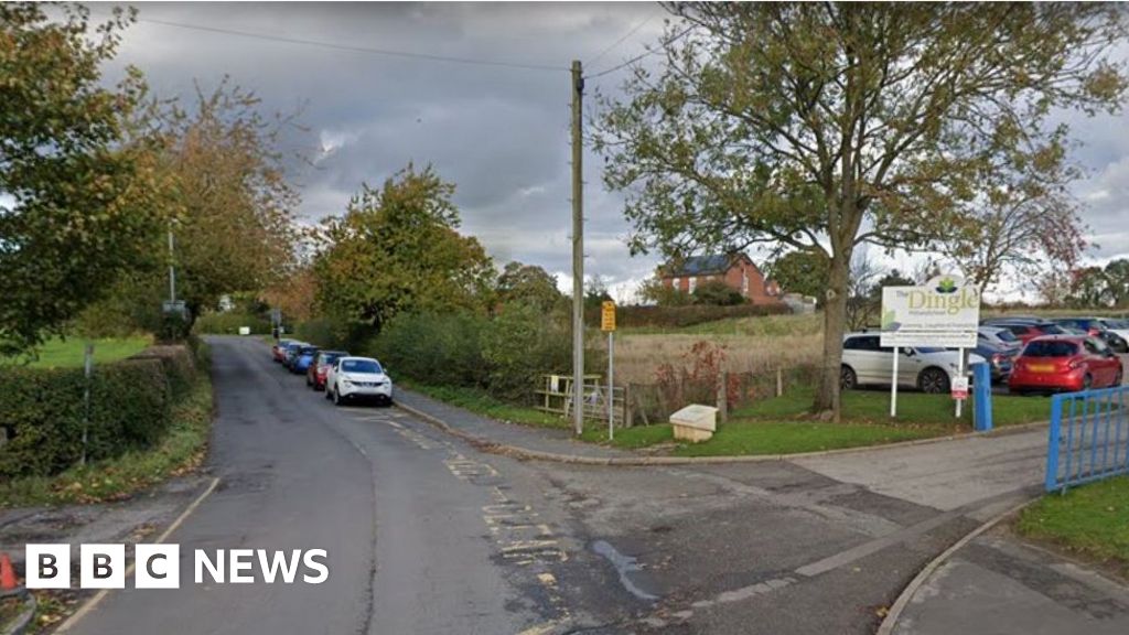 Police fatally shoot bull rampaging near school in Cheshire - BBC News