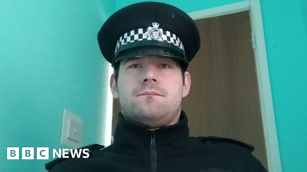 Reed Wischhusen 'planned hitman-style attack to get revenge' - BBC News