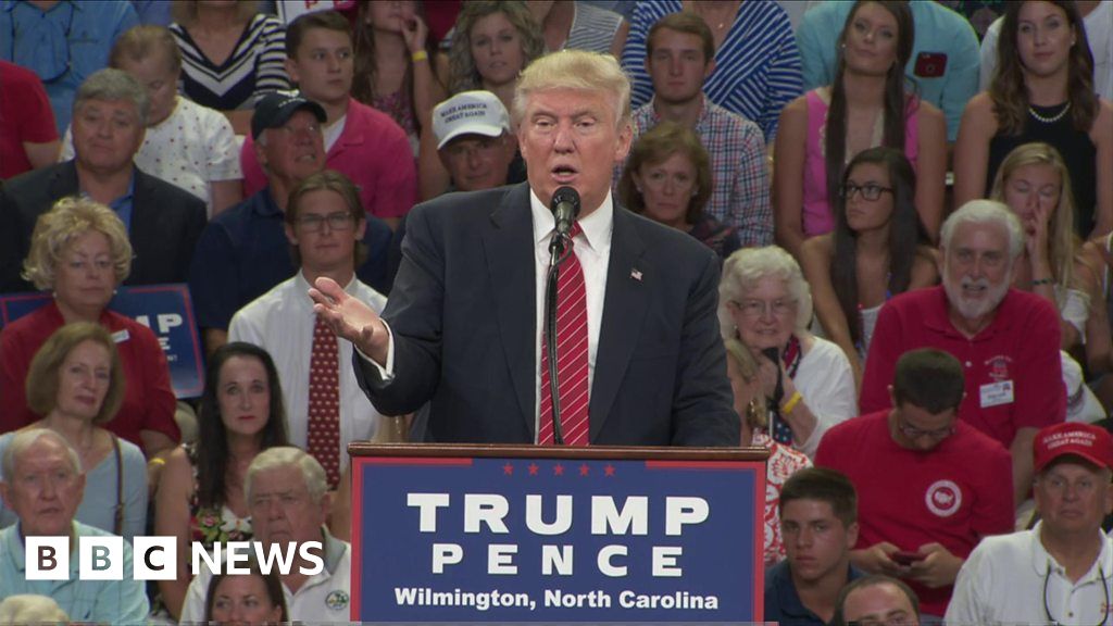 Did Trump hint gun owners could stop Clinton? - BBC News